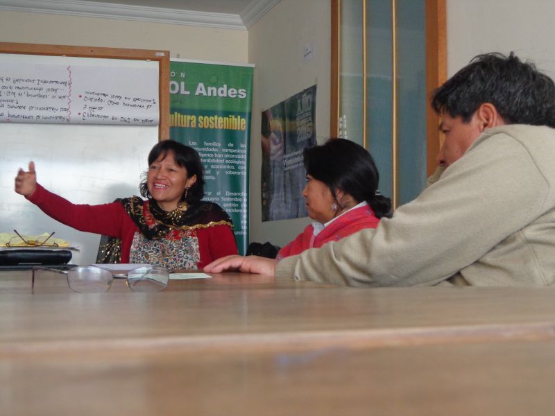 Understanding PID: Prolinnova Bolivian Platform – Prolinnova