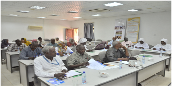 Prolinnova-Sudan activities 2017-19 – Prolinnova