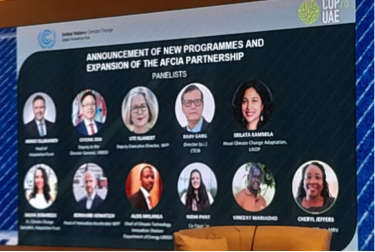 Prolinnova–Kenya at UN Climate Change Conference COP28 in Dubai – Prolinnova